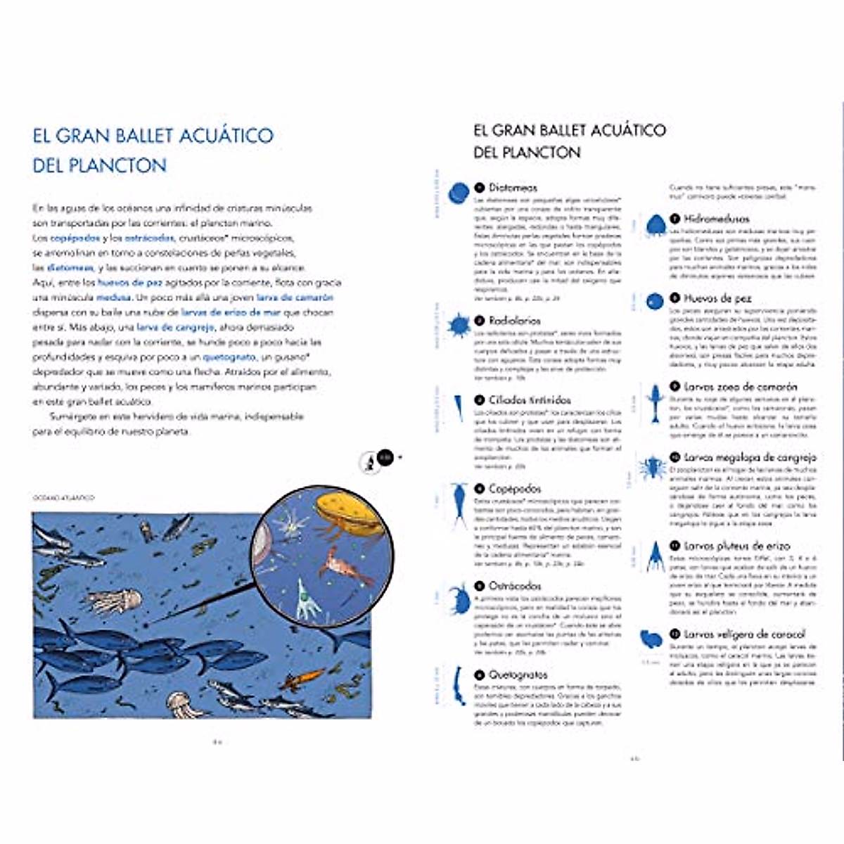 Los mundos invisibles de los animales microscópicos (El libro Océano de…) (Spanish Edition)