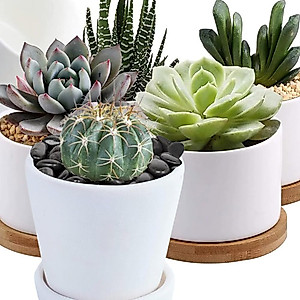 NMEINV 2 lb Natural Decorative Black Pebbles - Decorative River Rocks for Bamboo Plants, Fish Tank, Vase Fillers and Fairy Garden(1 to 2 Inch).