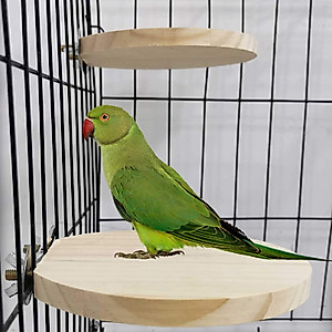 kathson Hamster Standing Platform Rat 2-Level Natural Wood Pedal Gerbil Round Standing Board Squirrel Cage Accessories Dwarf Hamster Activity Toys for Chinchilla Bird Parrot Mouse 3PCS