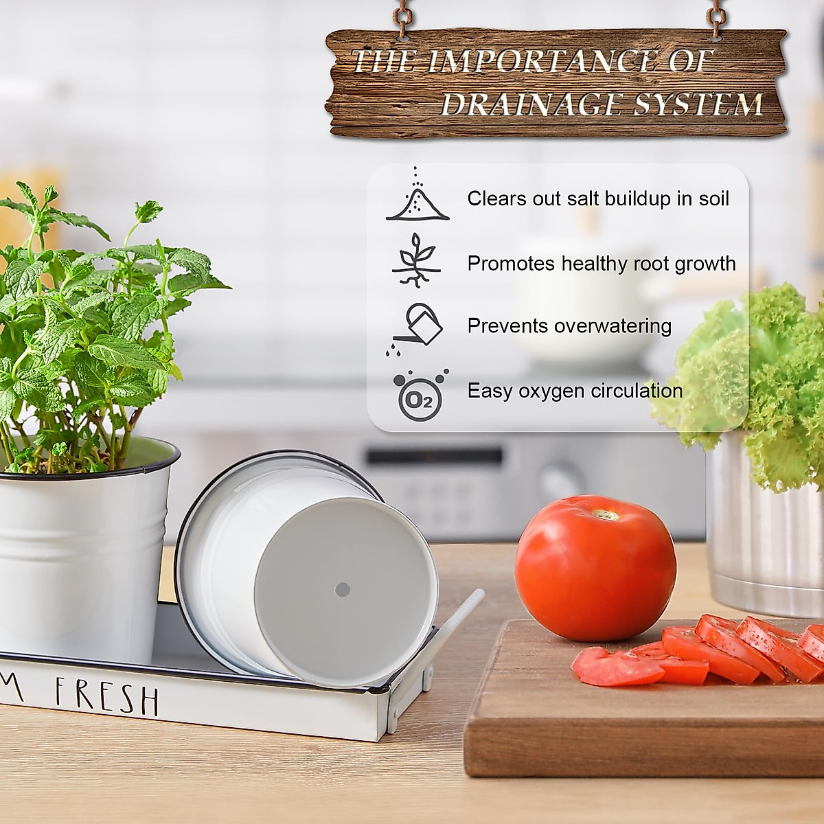 DAYYET Farmhouse Herb Garden Planter Indoor Window Planter Set with Tray, White Windowsill Herb Planter Pots with Drainage for Outdoor or Indoor Planters, Set of 3