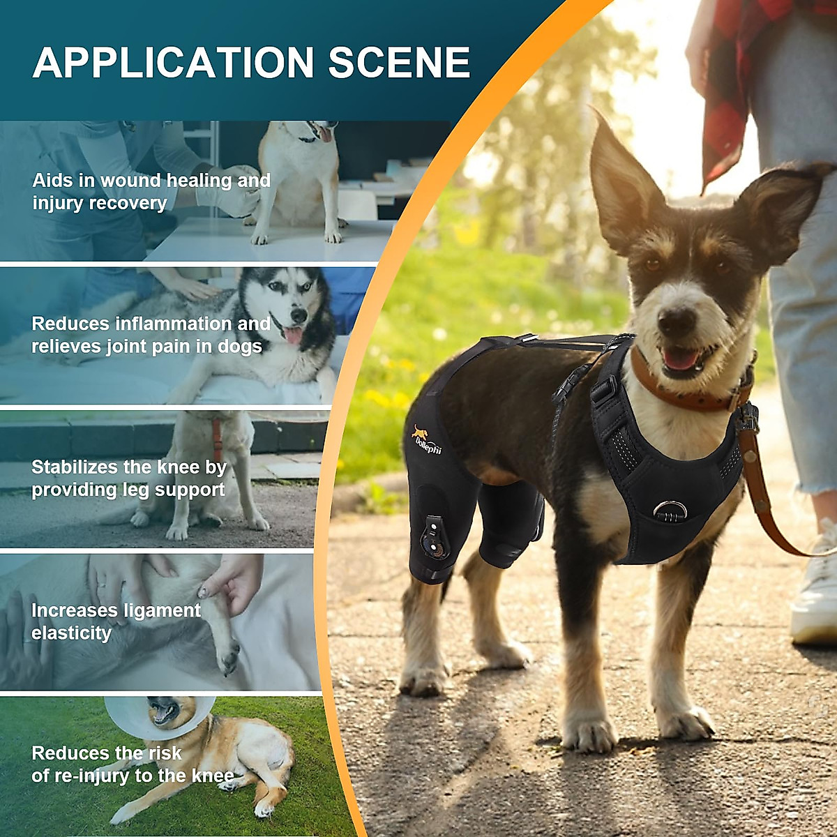 Dollephi Dog Knee Brace for torn acl hind leg with Adjustable Hinge Stabilizer, Dog leg brace Support for Cruciate Ligament Injury, Dog back brace for Osteoarthritis, Recovery After Surgery,et（L）