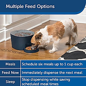 PetSafe 6 Meal Programmable Pet Food Dispenser, Automatic Dog and Cat Feeder - Dry Kibble or Semi-Moist Pet Food, Slow Feed Portion Control (6 Cup/48 Ounce Capacity), Tamper-Resistant, Sleep Mode Blue