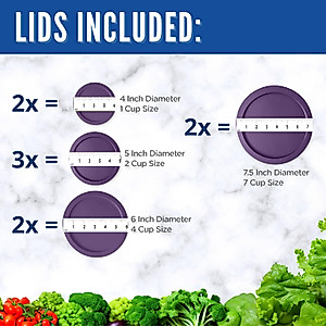 Replacement Lids for Pyrex Containers (2) 1-Cup (3) 2-Cup (2) 4-Cup (2) 7-Cup (Purple)