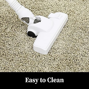 Zacoo 9x12 Area Rug Shag Rug for Living Room, Luxurious Large Shaggy Area Rug Non-Shedding Carpet Rug for Bedroom Shag Plush Rug Thick Aceent Rug Carpets for Home Decor, Taupe, 9' x 12'