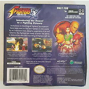 King of Fighters EX Neoblood