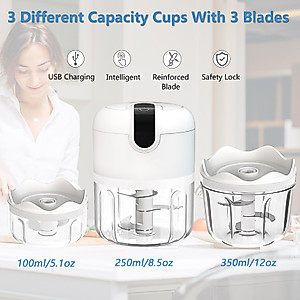 DISXENT White 3 CUP Cordless Mini Food Chopper,Small Food Processor Mini for Garlic,Nut,Meat(100+250+350ML), CQ3654