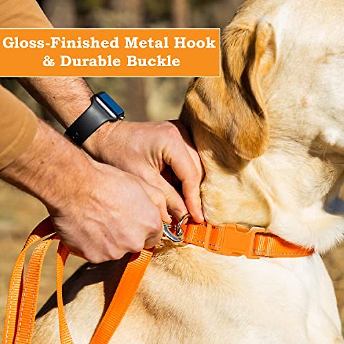 PAWBLEFY Personalized Dog Collars - Reflective Nylon Collar Customized with Name and Phone Number - Adjustable Sizes for Small Dogs, Medium, and Large - 4 Colors for Male Female boy Girl Puppies