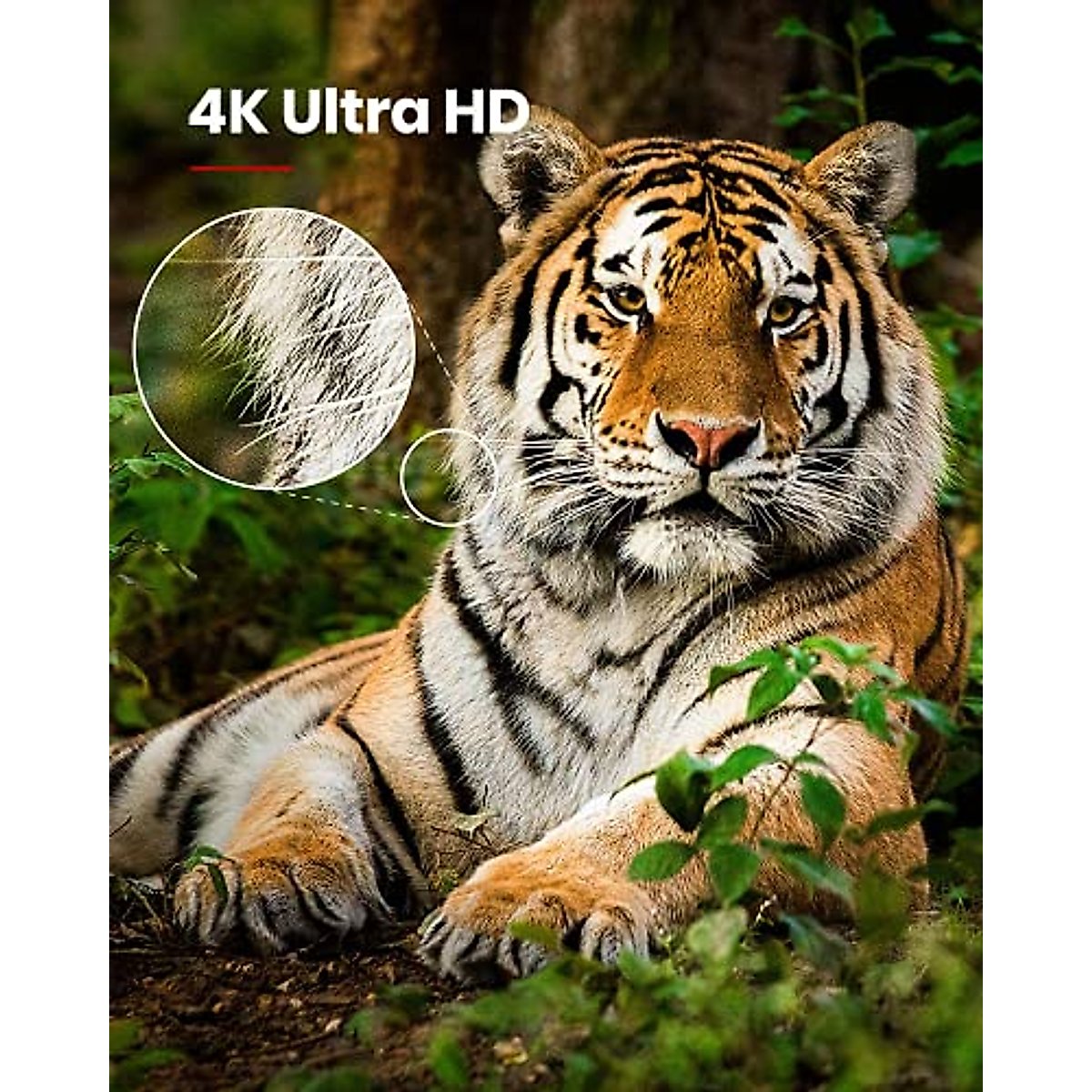 Anker Nebula Cosmos Max 4K UHD TV Home Theater/Entertainment Projector, Outdoor Projector, Android TV 9.0 with 5000+ Apps, 360° of True 3D Audio, HDR10, HLG, Dynamic Smoothing (Renewed)