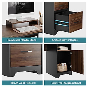 Bestier L Shaped Desk with File Drawers, 63" x 47" Office Computer Desk with Storage Cabinet, Corner Desk with Monitor Stand & Modesty Panel for Home Office, Cherry