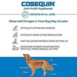 Nutramax Cosequin Joint Health Supplement for Dogs - With Glucosamine, Chondroitin, MSM, and Omega-3's, 60 Soft Chews