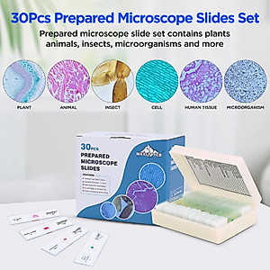 30 Microscope Slides with Specimens for Kids, Prepared Microscope Slides Set with Plants Animals Insects, Microscope Slides for Kids Students Homeschool Basic Biological Science Education