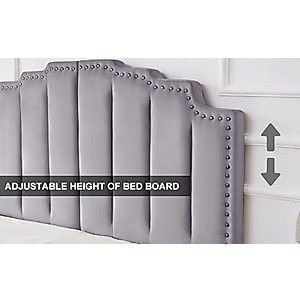 Kingfun Mid Century Headboard for Queen Size Bed, Velvet Upholstered Tufted Bed Headboard with Nailhead Decor, Adjustable Curved Solid Wood Head Board Vertical Channel Design (Medium Grey)