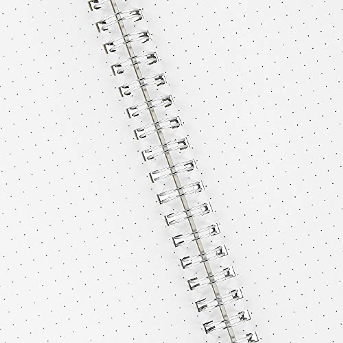 HULYTRAAT Hardcover Dot Grid Notebook, 5.8 x 8.38 Inches A5, Transparent, 160-Page 80-Sheet Spiral Journal (AWPPD1)