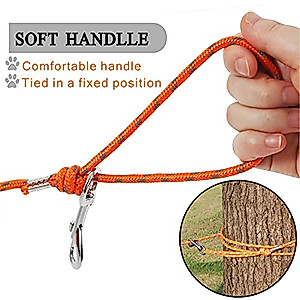 Reflective Cat Leash -30FT Cat Cable Out Leash Escape Proof Walking Leads Yard Long Leash Durable Safe Personalized Extender Leash Traning Play Outdoor for Puppies/Kittens/Rabbits/Small Animals
