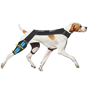 Dog Knee Brace for Torn ACL Hind Legs, Anti-slip Dog Leg Braces for Back Legs with Comfort Vest, Strong Support Dog ACL Hip Brace with 2 Metal Strips and Adjustable Belt for Cruciate Ligament Injury