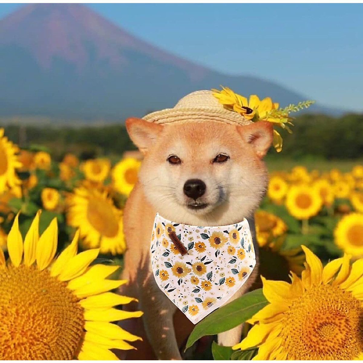 Elegant little tail Dog Bandanas - 1Pack Sunflower Print Washable Dog Scarf Female Square Dog Bib Kerchief Scarf Adjustable Pet Bandana for Medium Large Dogs