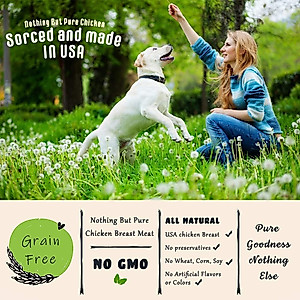 American Paws Dehydrated Chicken Feet Dog Treats, Only One Ingredient, No Additives, Made and Sourced in USA, (About 28-Pack), 1lb