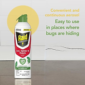 Raid Essentials Ant, Roach & Spider Killer Aerosol Spray, Child & Pest Safe, Kills Insects Quickly, for Indoor Use 10oz