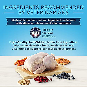 Blue Buffalo True Solutions Fab Feline Natural Indoor Adult Dry Cat Food, Chicken 11-lb