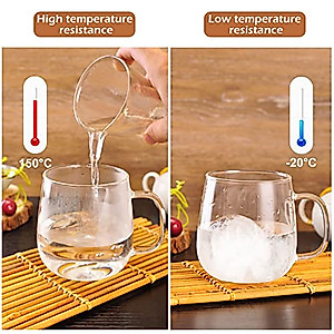 WHJY Glass Tea Cup with Infuser and Lid, 18 ounce Glass Tea Cups with Strainer, Loose Leaf Tea Cup Mug for One, Lead-free Borosilicate Glass Teacups, Heat Resistance, Microwave & Dishwasher Safe