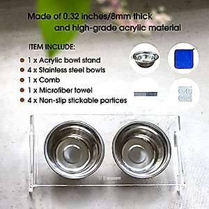 Tilted Raised Cat Bowls, Elevated 15° Orthopedic Bowls for Puppy or Small Dog, 4 Stainless Steel Pet Feeding Food Dishes Set, Durable Acrylic Stand, Easy to Clean, Also Perfect for Travel (Clear)