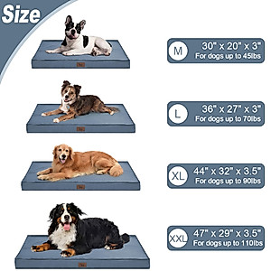 Tail Stories Orthopedic Dog Bed for Large Dogs - Pet Bed with Removable Washable Cover, Large Waterproof Dog Crate Bed for Large Sized Dog with Egg Crate Foam, Blue