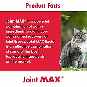 HealthyPets Joint MAX Soft Chews for Cats (60 Chews)