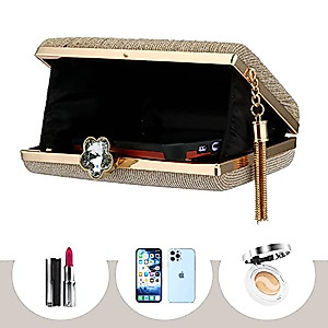 Rkrouco Women's Evening Bag Sparkle Sequin Evening Handbag,Lady Party Wedding Clutch Purse for Wedding Parties.(Gold)