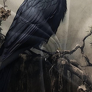 BUKISA 3D Printed Raven Comforter Cover Set for Kids Child Girls Boys Bedroom Textile Suit Skin-Friendly Crows Bedding Set Breathable Twin（173x218cm） Duvet Quilt with Pillowcases