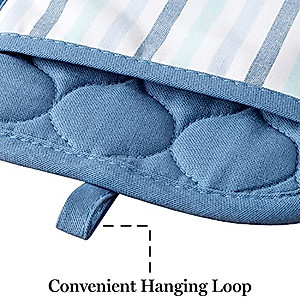 Martha Stewart Daisy Stripe Pot Holder Set 2-Pack, Blue, 7"x10"