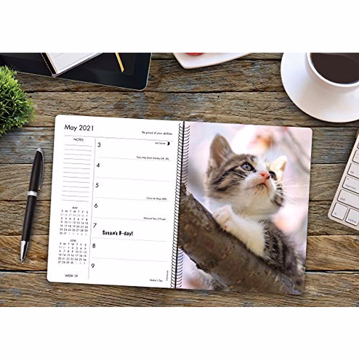 What Cats Teach Us 2021 Engagement Calendar