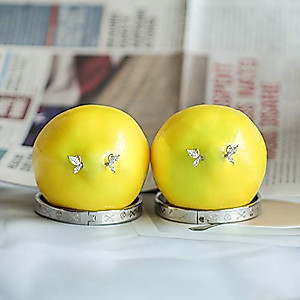 CHARM ONLINE 2PCS 14G 316L Stainless Steel Clear (Butterfly CZ Nipple Rings Barbell Crystal Nipple Piercings Jewelry for Women)