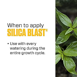 Botanicare Silica Blast, Plant Supplement, 0-0-0.5, 1 qt.