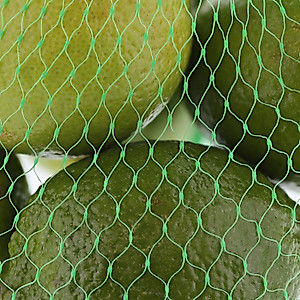 Royal Green Plastic Mesh Produce and Seafood Bag, 24 Inch, Package of 1000