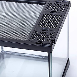 REPTIZOO Mini Reptile Glass Terrarium Tank 8"x8"x12", Front Opening Door Full View Visually Appealing Mini Reptile or Amphibians Glass Habitat