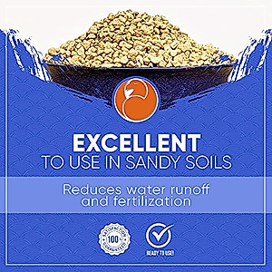 Ho Yoku Pumice for Plants, 2.25 Quarts Japanese Pumice Rock, Tan in Color Soil Additive for Succulents, Cacti, Bonsai, Horticultural Bonsai Pumice Stone