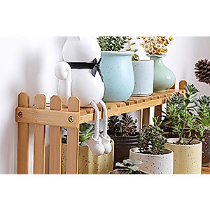 Lawei 2 Tier Table Top Bamboo Plant Stand - Desktop Flower Shelf Rack Flower Pot Display Stand for Indoor Outdoor Home Patio Lawn Garden Balcony Organizer Planter Holder