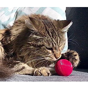 Pet Qwerks Cat Babble Ball with Catnip Infused, Interactive Cat Toy X-Small
