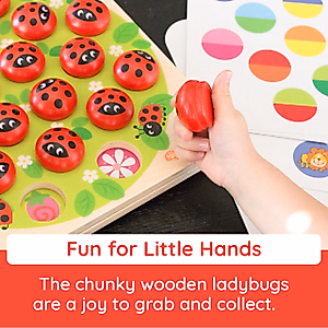 Fat Brain Toys Ladybug's Garden Toddler Memory Game, Wooden Memory Matching Games for Kids, Preschool Toys