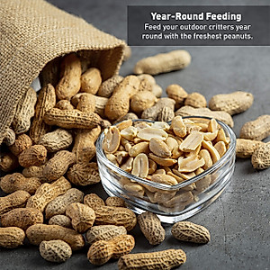 Sandy Land Squirrel Peanuts 25 Pounds Animal Peanut Bag - Ideal Also for Birds, Deer, Chipmunks, Raccoons and Outdoor Wildlife