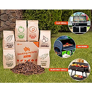 Zorestar Apple Cherry (Fruit Mix) - 13-15lb - Wood Chunks for Smoking and Grilling Smoker Pellets Variety Pack - 100% All-Natural Wood Smoking Pellet - Set of 6 Packs - Oak, Maple, Apple, Peach, Alder