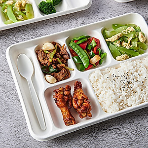 Vplus 100% Compostable 6 Compartment Plates, 90 Pack Compartment Paper Plate, 12.5x8.6 inch Disposable School Lunch Trays, Eco-Friendly Bagasse Plates for School Lunch, Buffet, and Party