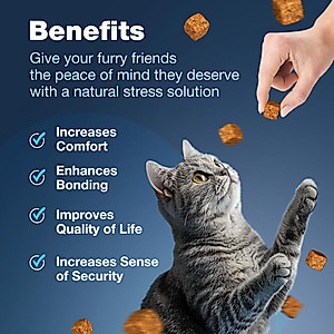 CHEWIA Cat Calming Treats - Hemp Calming Care for Cats - Cat Anxiety Relief - Cat Melatonin Soft Chews with Hemp Seed Oil, L-Tryptophan - Calming Chews for Cats - Storms, Travel, Grooming, Separation