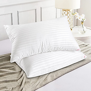 EIUE Bed Pillows for Sleeping 4 Pack Queen Size，Pillows for Side and Back Sleepers,Super Soft Down Alternative Microfiber Filled Pillows,20 x 30 Inches