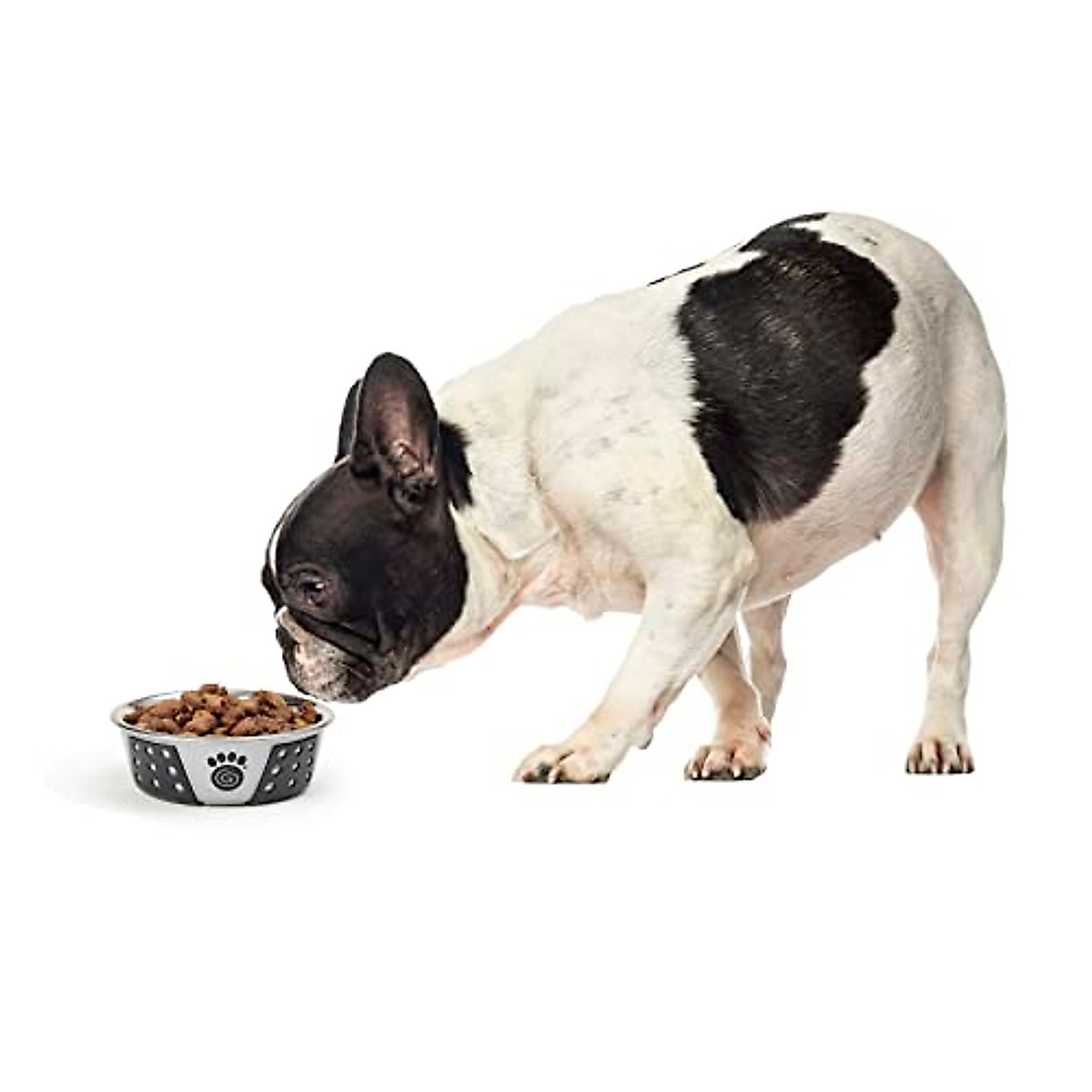 PetRageous 13097 Fiji Stainless Steel Non-Slip Dishwasher Safe Dog Bowl 1.75-Cup Capacity 5.5-inch Diameter 1.75-inch Tall for Small and Medium Size Dogs and Cats, Light Grey and Black