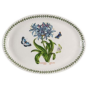 Portmeirion Botanic Garden 13" Oval Steak Platter