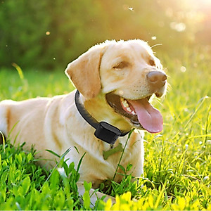 iMounTEK Electric Dog Fence System Electric Fence for Dogs Pet Tone Shock Boundary Containment Water Resistant Collar Receiver for Small Medium Large Dog