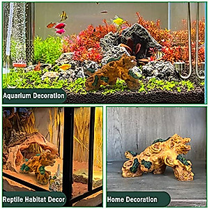 BNOSDM Reptile Driftwood Decoration Natural Coral Driftwood Branches for Aquarium Reptile Toy Natural Habitat Decor Wood for Bearded Dragon Lizad Amphibian Fish Tank