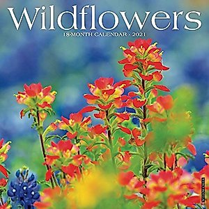 Wildflowers 2021 Wall Calendar