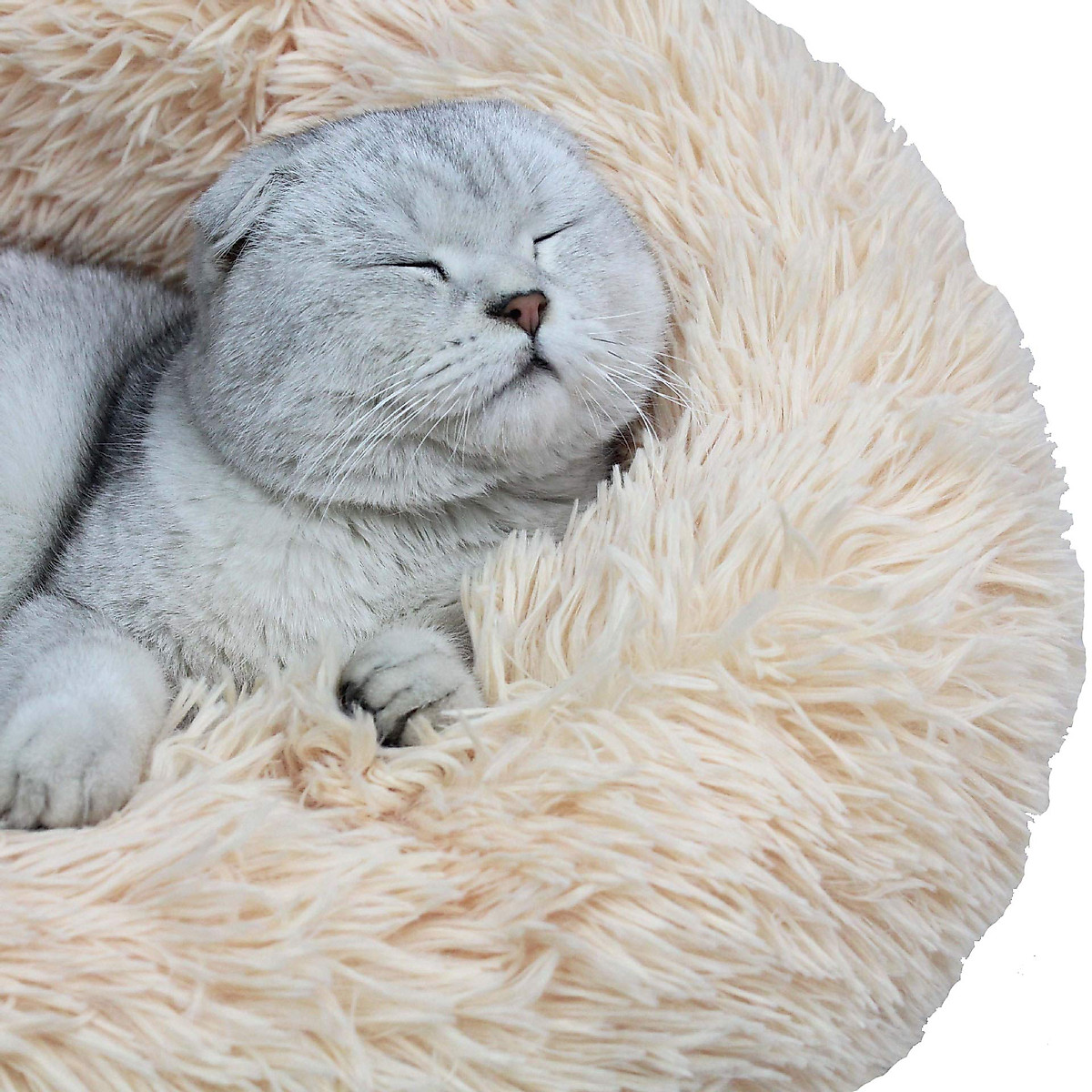 BODISEINT Modern Soft Plush Round Pet Bed for Cats or Small Dogs, Mini Medium Sized Dog Cat Bed Self Warming Autumn Winter Indoor Snooze Sleeping Cozy Kitty Teddy Kennel (20'' D x 8'' H, Champagne)